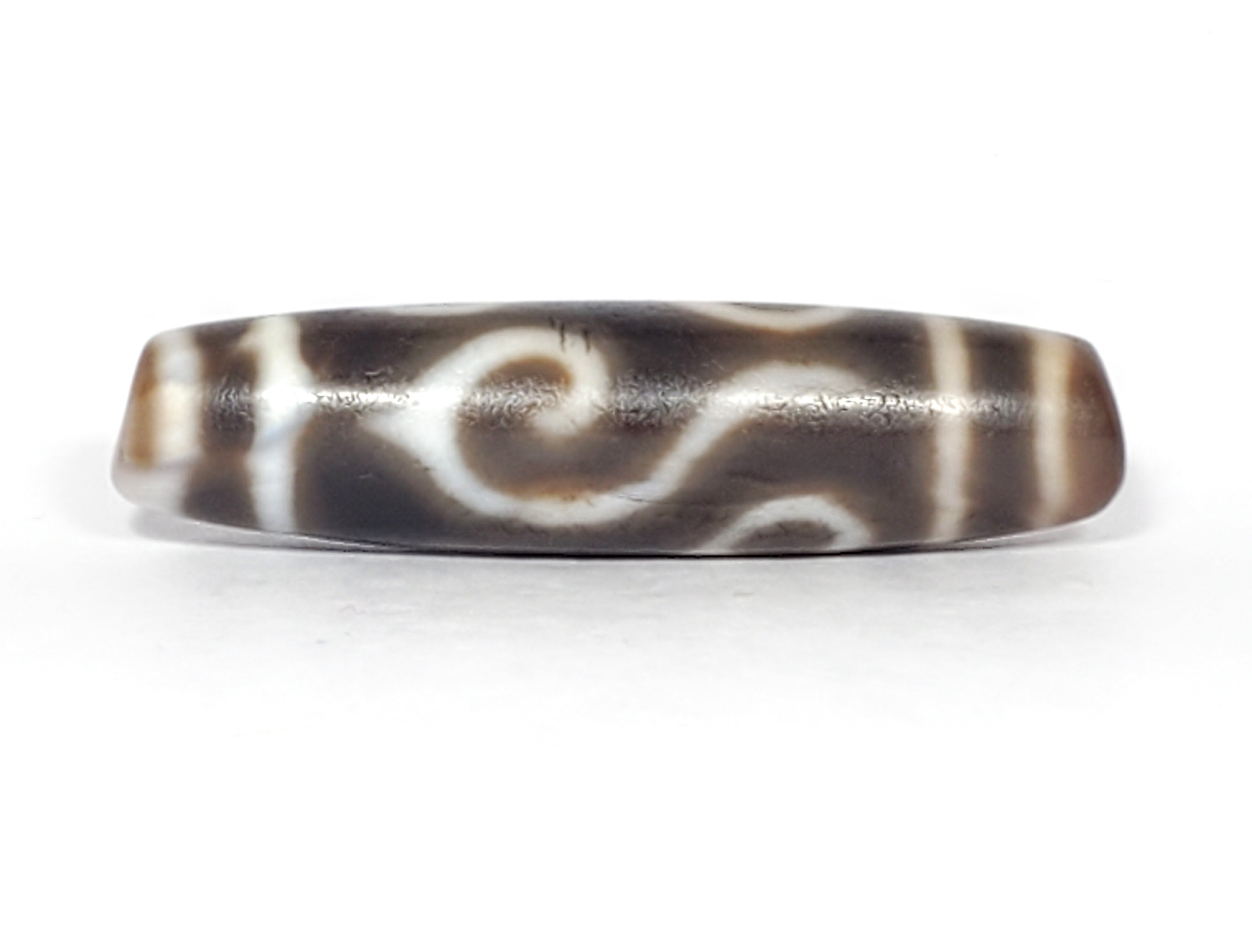 Ancient Dharma Conch Four Eye Motif Dzi Bead (TiD-Anc-B-DCFoE-061623 ...